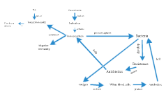 Concept map MRSA by Esther Sluman on Prezi