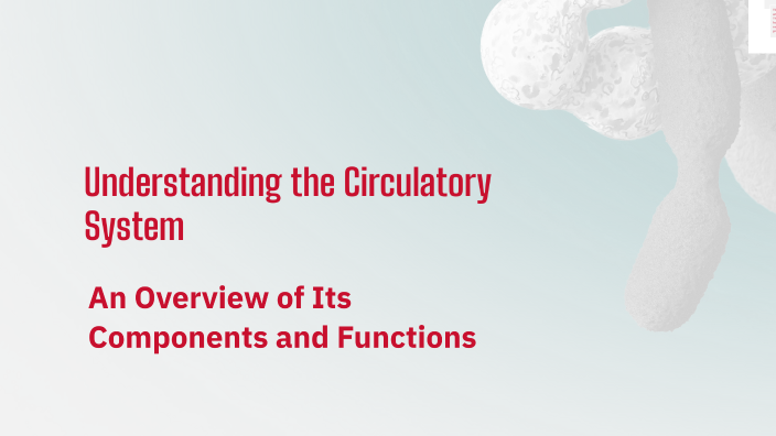 Understanding the Circulatory System by Devin Boucher on Prezi