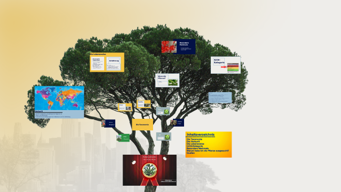 Affenschwanz (Die Pflanze) by Raul Guliyev on Prezi