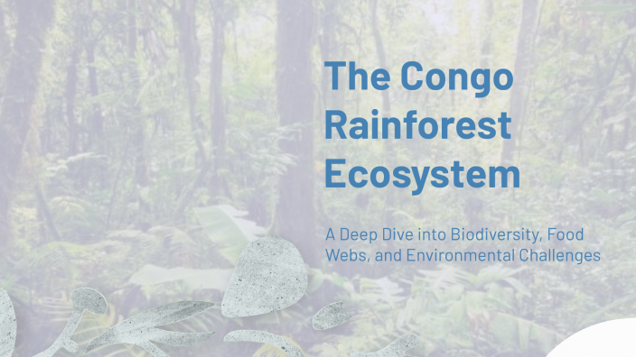 The Congo Rainforest Ecosystem by hailey dennis on Prezi