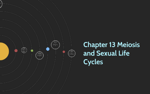 Chapter 13 Meiosis and Sexual Life Cycles by Madison McGlaun on Prezi