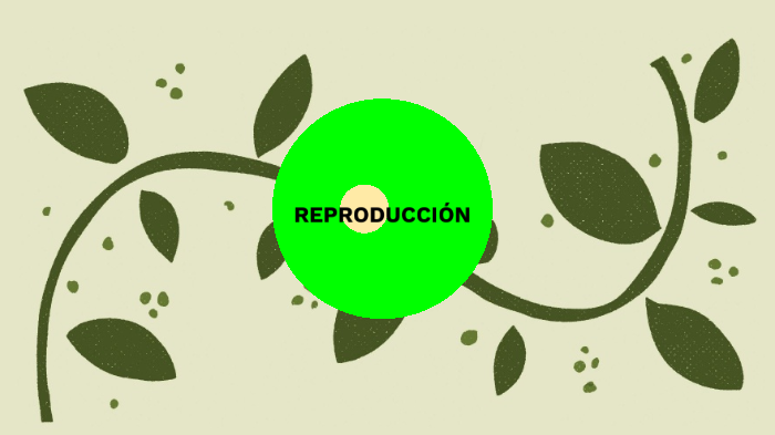 REPRODUCCIÓN by Edna Trejo Escalante on Prezi