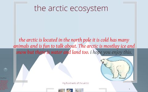 arctic ecosystem project by matthew chartrand on Prezi