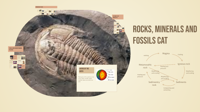 Exploring Tectonic Plates and Fossils by Arlo Butler on Prezi
