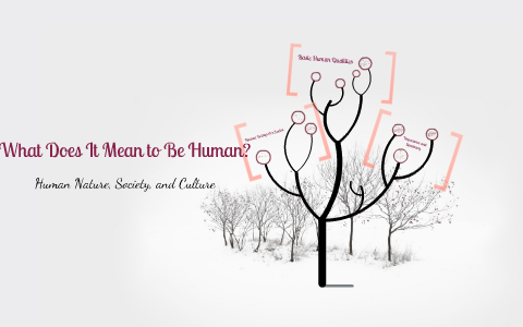 What Does It Mean To Be Human by Rachel Reader