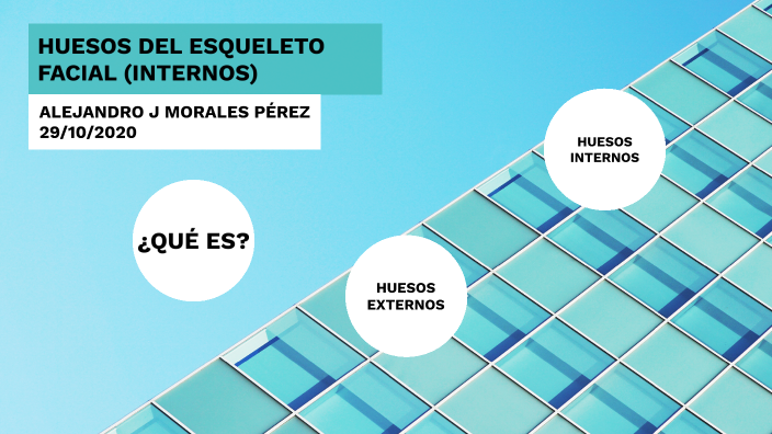 HUESOS DEL ESQUELETO FACIAL by Alejandro Morales on Prezi