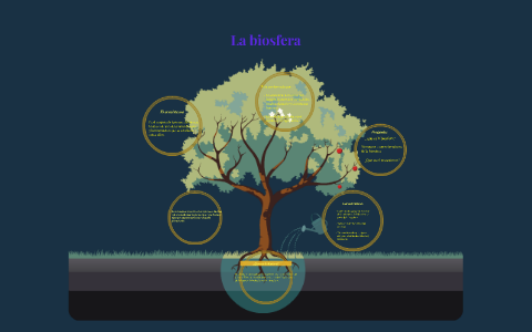 ¿Que es la biofera?? by David Alejandro Silva Uribe