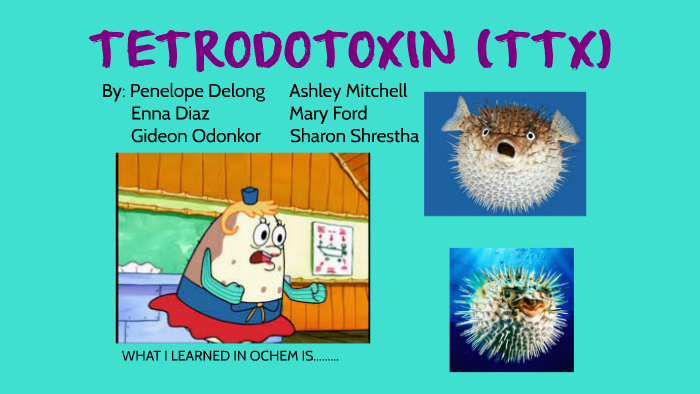 TETRODOTOXIN (TTX) by Ashley Mitchell on Prezi