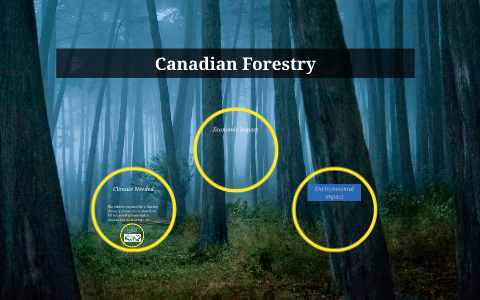 Canadian Forestry by Mark Soeder on Prezi