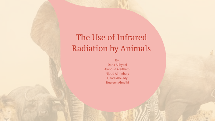 The Use of Infrared Radiation by Animals by Alanoud - on Prezi