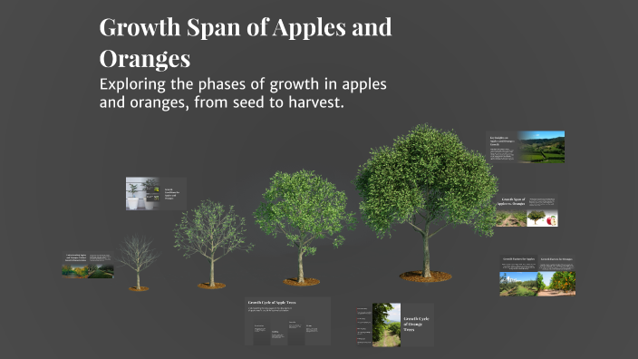 Growth Span of Apples and Oranges by Zachary Buchanan on Prezi