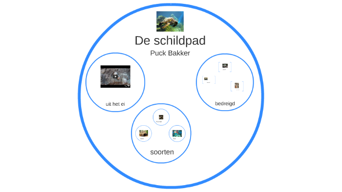 De schildpad by Puck Bakker on Prezi