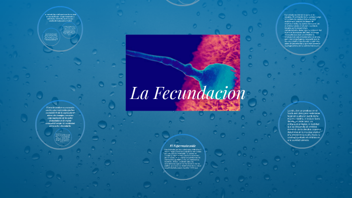 La Fecundacion by MARIA ELENA ZAVALA HERNANDEZ on Prezi