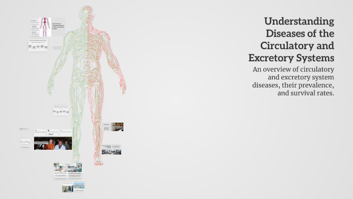 Understanding Diseases of the Circulatory and Excretory Systems by ...