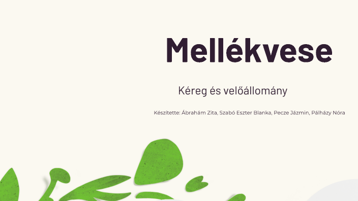 Mellékvese by Szabó Eszter on Prezi