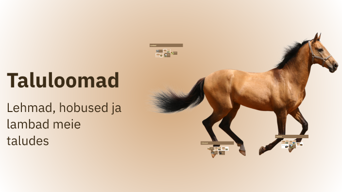 Taluloomad by Kertu Mäesaar on Prezi