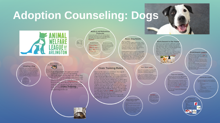 Script for Adoption Counseling Dogs by AWLA Staff on Prezi