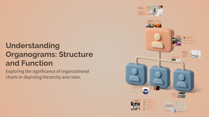 Understanding Organograms: Structure and Function by yesmina de jong on ...