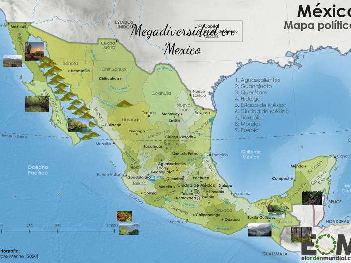 Megadiversidad en Mexico by Angel Hernandez on Prezi