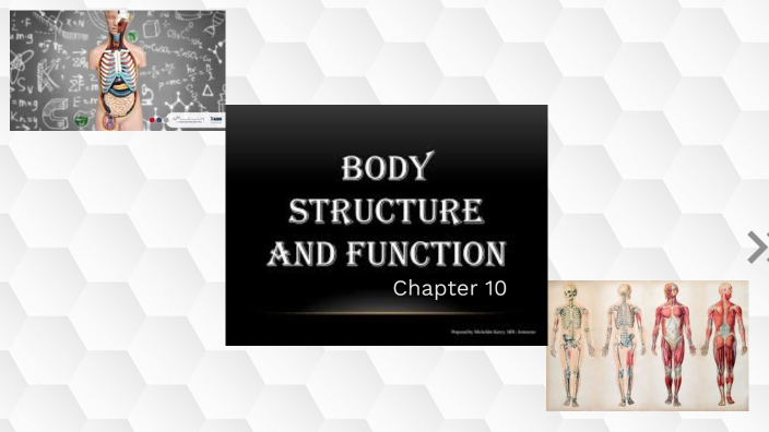10Body Structure and function by Kristy Ethridge on Prezi