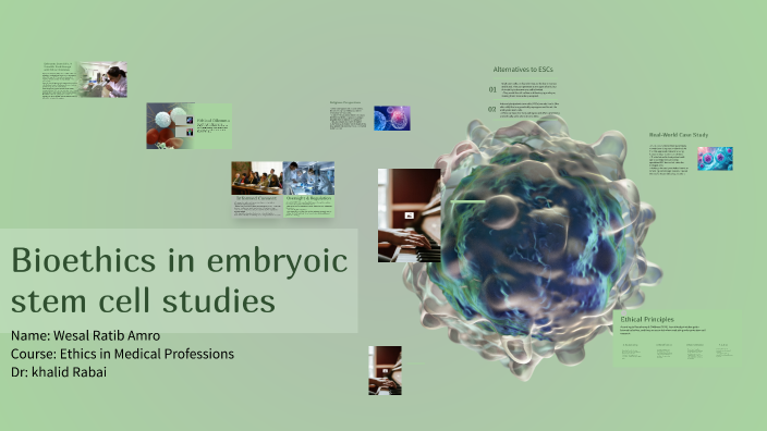 Understanding Stem Cells by Wessal Ratib Ismael Amro on Prezi