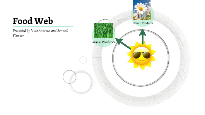 Food Web Project by Jacob Andrews on Prezi