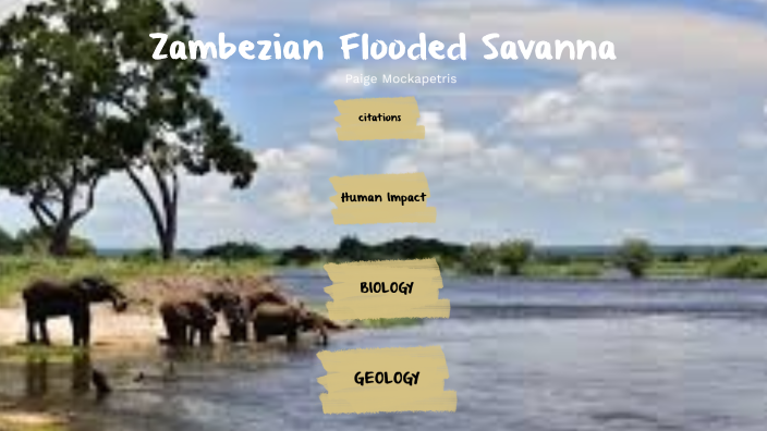 Zambezian Flooded Savannas by Paige Mockapetris on Prezi