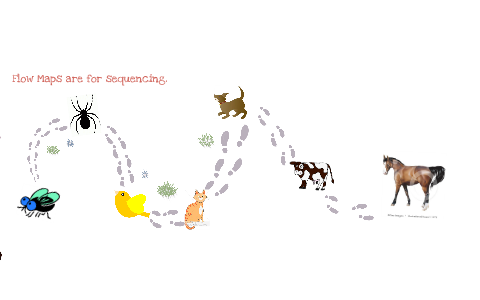 Flow Map - Sequencing Events by Jessica Guzman on Prezi