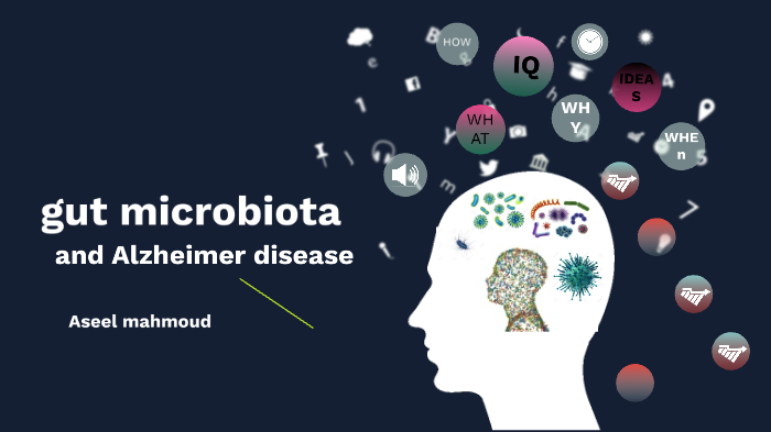 gut microbiota and alzheimer by Aseel mahmoud on Prezi