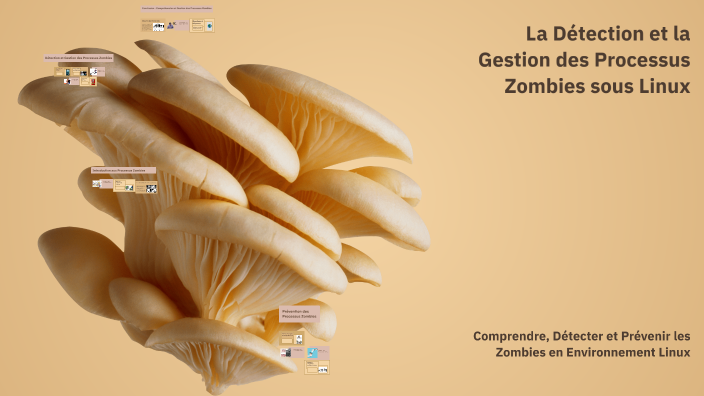 La Détection et la Gestion des Processus Zombies sous Linux by saad EL ...