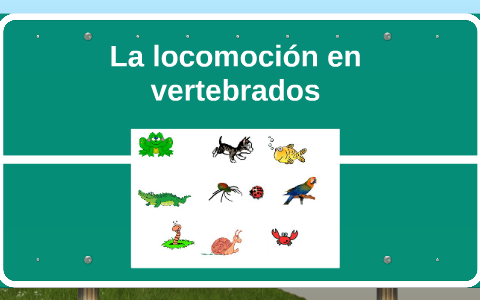 La locomoción en invertebrados by sergio alejandro padilla on Prezi