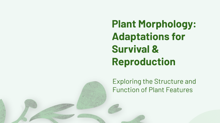 Plant Morphology: Adaptations for Survival & Reproduction by Patricia ...