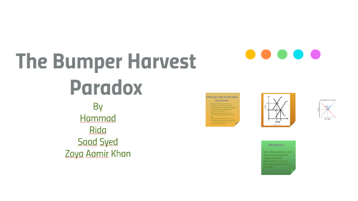 The Bumper Harvest Paradox by Zoya Khan on Prezi