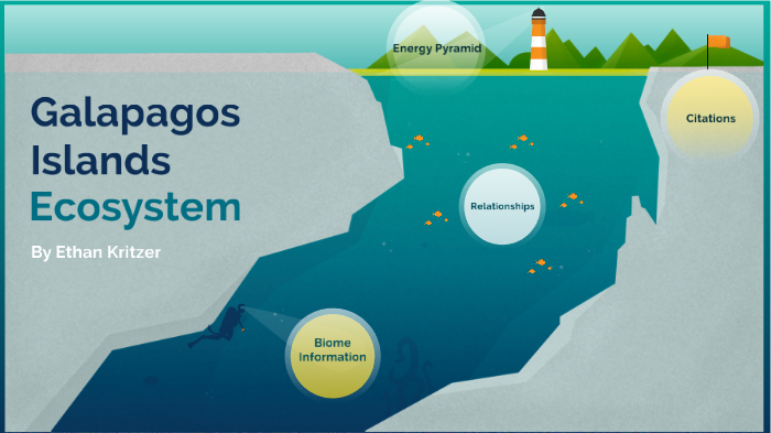 Galapagos Islands Ecosystem by Ethan Kritzer on Prezi