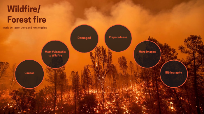 Wildfire Presentation by Nev Angeles on Prezi
