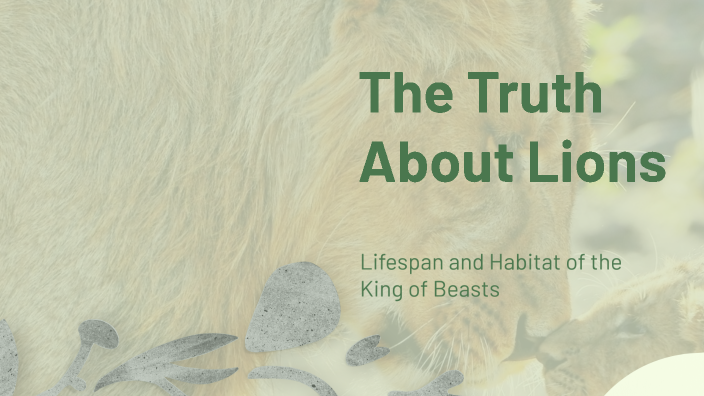 The Truth About Lions by aedion alberto on Prezi