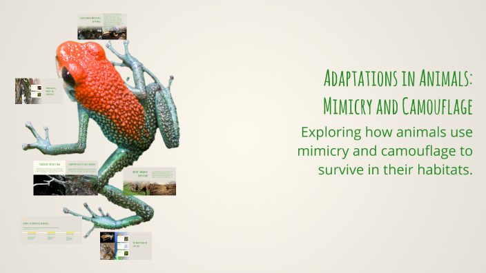 Adaptations in Animals: Mimicry and Camouflage by Sherry Miann Olino on ...