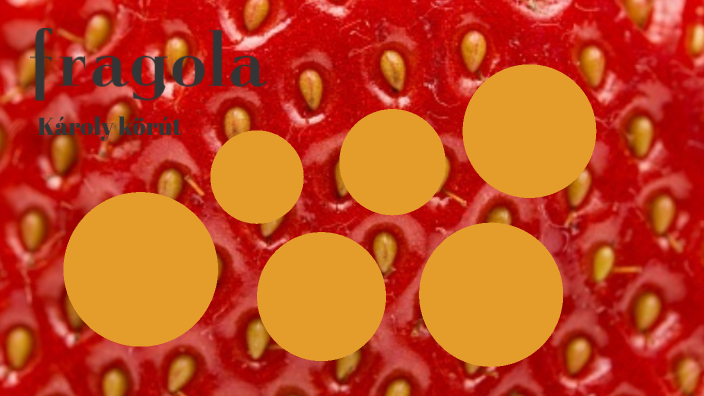 fragola by Lujza Hajdu on Prezi