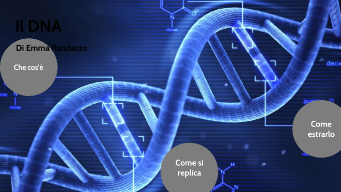 Il DNA by Emma Randazzo on Prezi