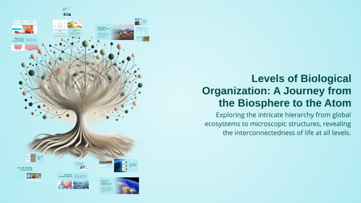 Levels of Biological Organization: A Journey from the Biosphere to the ...