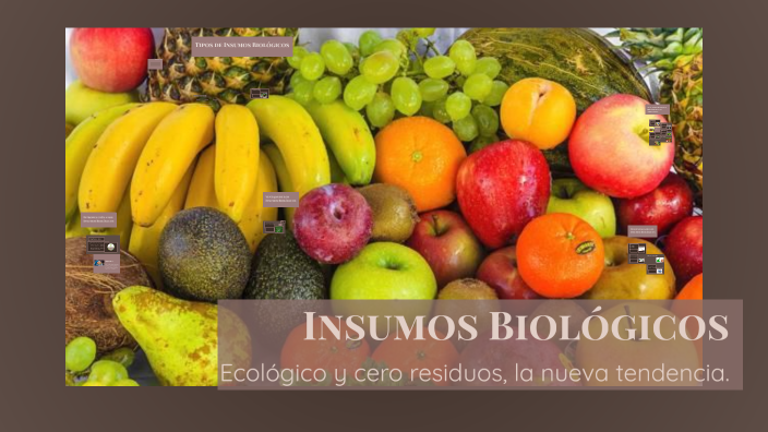 Insumos Biológicos by Kevin Corella on Prezi