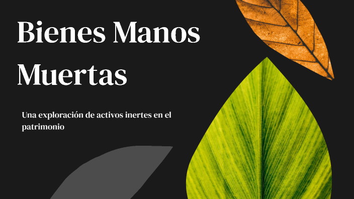 Bienes Manos Muertas by Iris Garrido on Prezi