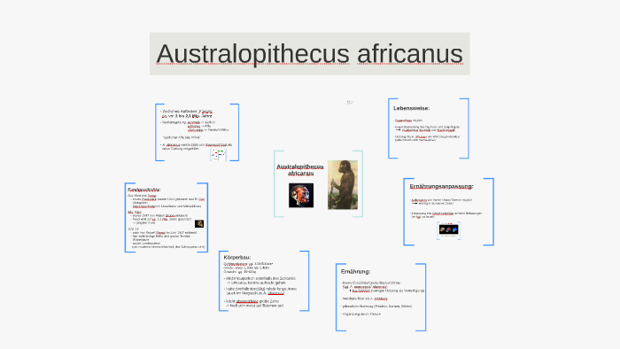 Australopithecus africanus by on Prezi