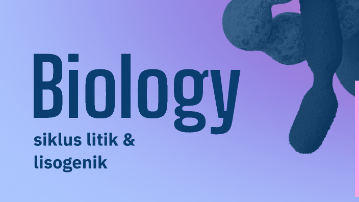 siklus litik dan lisogenik by teuku rasya on Prezi