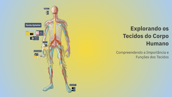 Explorando os Tecidos do Corpo Humano by MV R on Prezi