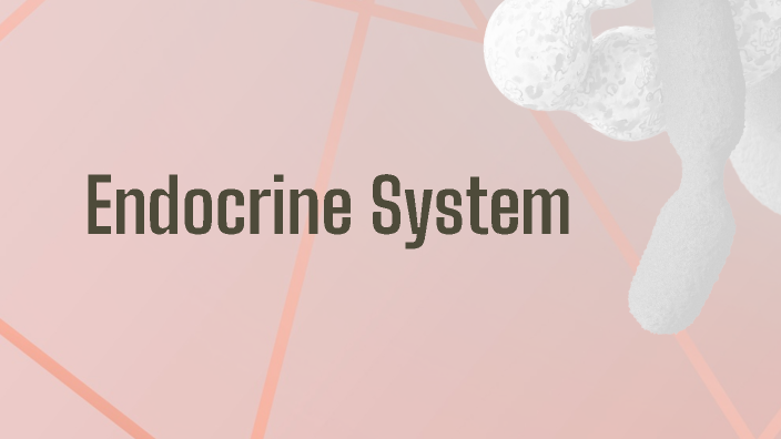 Exploring the Endocrine System by Kylar wood on Prezi