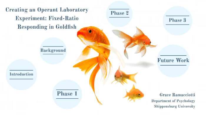 Creating an Operant Laboratory Experiment: Fixed-Ratio Responding in ...