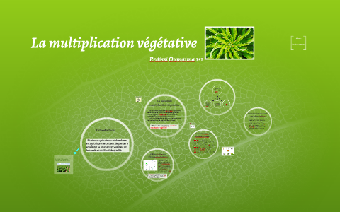 La multiplication végétative by Oumaima Redissi on Prezi