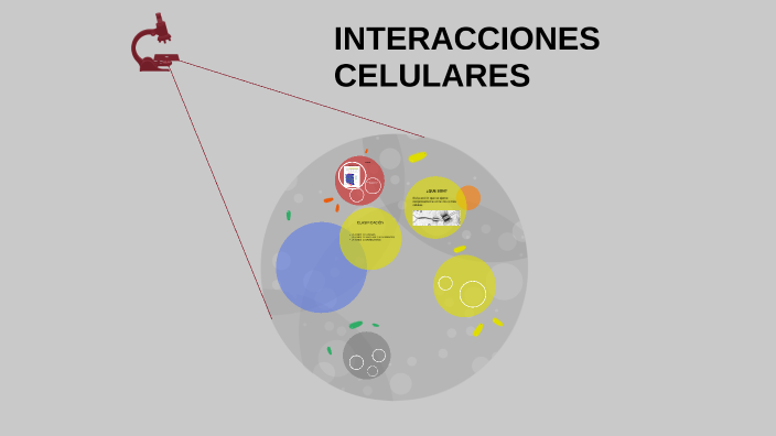 INTERACCIONES CELULARES by laura cardona on Prezi