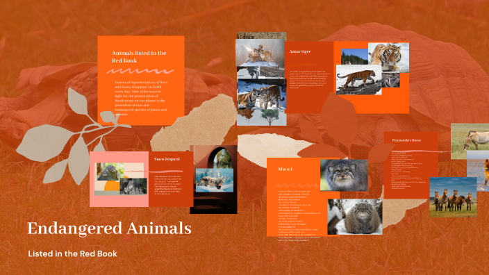 Endangered Animals by Ольга Шараборина on Prezi